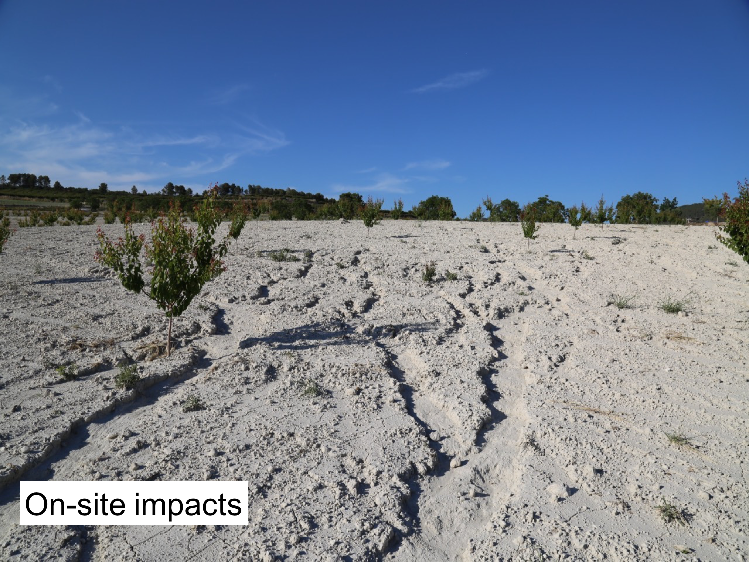 Difference between offsite and onsite effect of water erosion